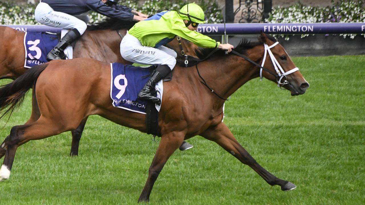 Runner-by-runner guide for the 2023 Group 1 Coolmore Stud Stakes at ...