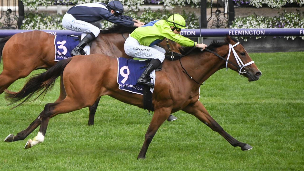 Derby Day and Golden Eagle Day tips and expert analysis