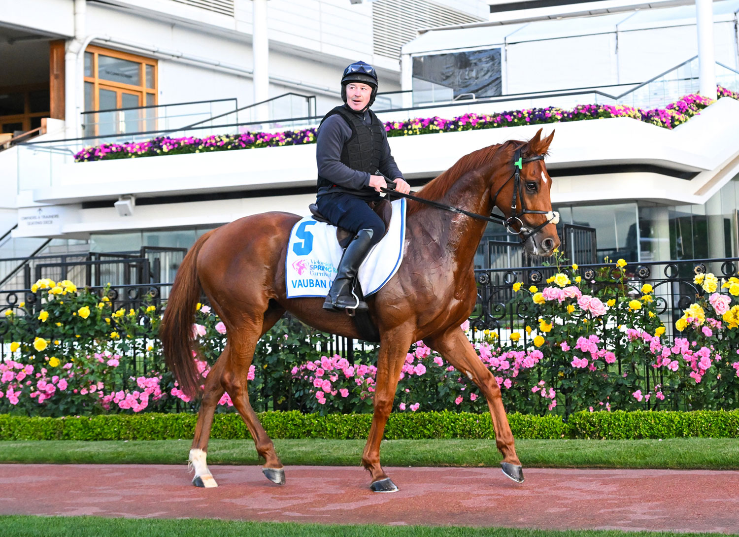 2023 Melbourne Cup field, barrier draw LIVE - Racenet