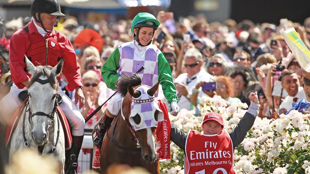 Finding the Melbourne Cup winner by facts and figures