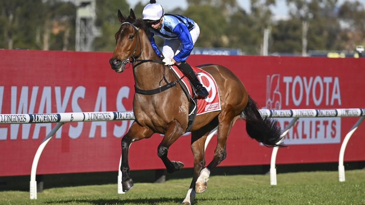 Hawkesbury Preview: Gerald Ryan expects Steely to bounce back in Ladies ...