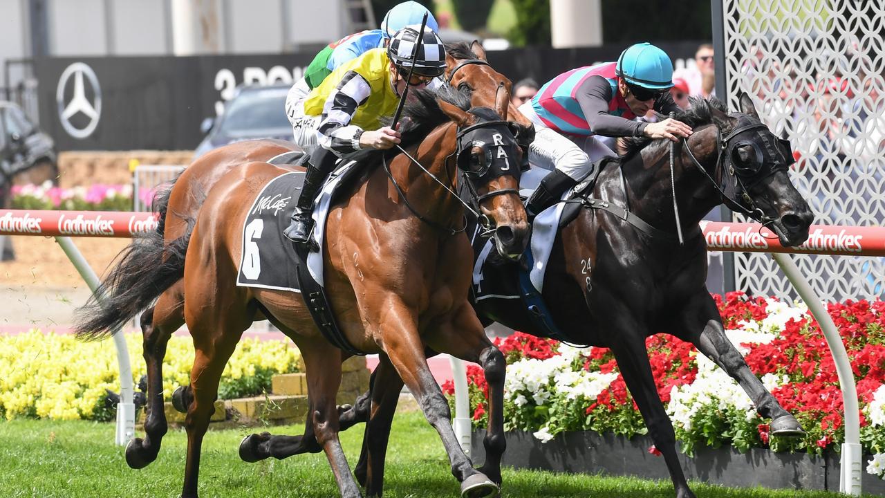 2023 TAB Champion Stakes runner-by-runner guide