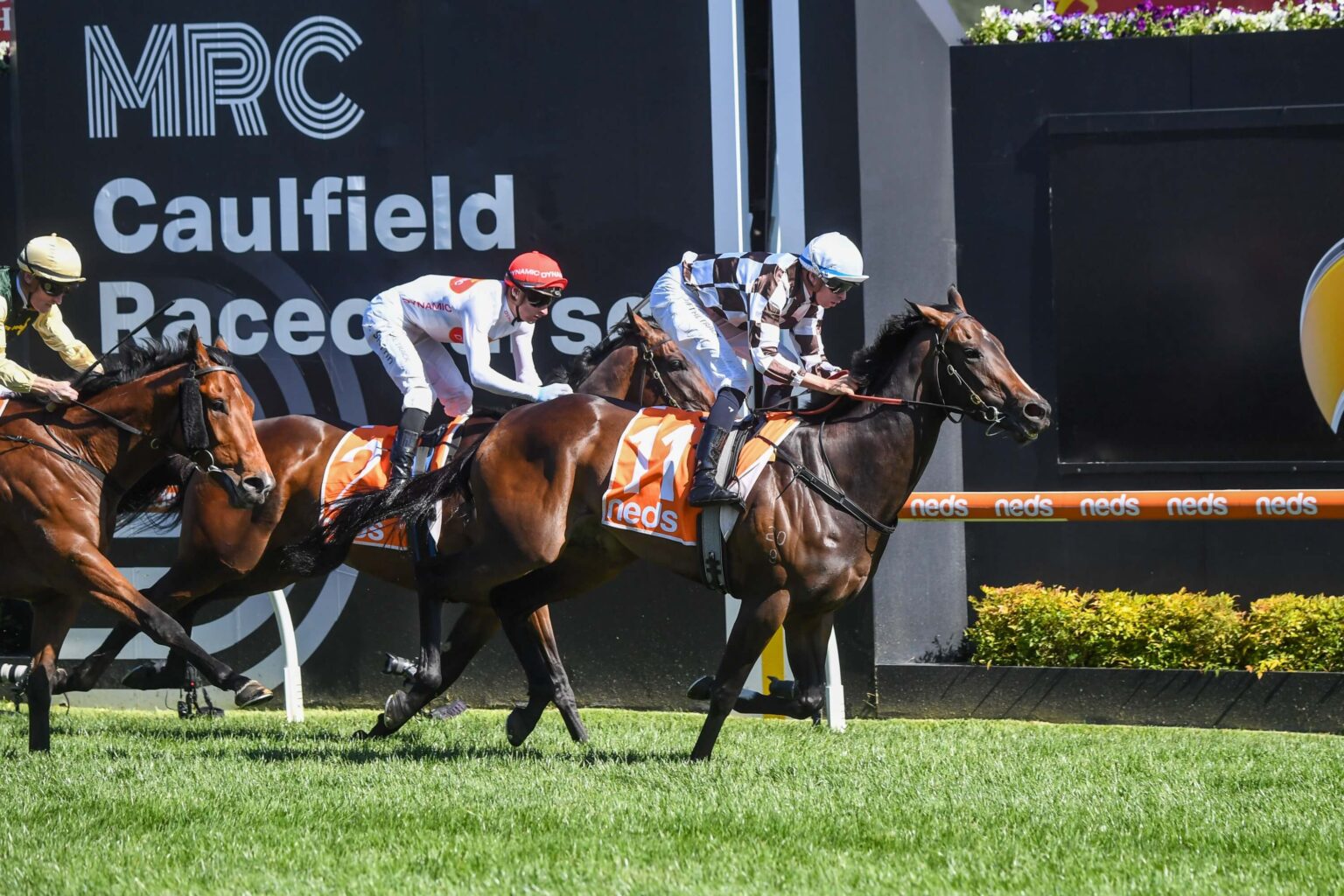 Sir Rupert Clarke Stakes 2024 | Tips, Odds, Field & Results | Racenet