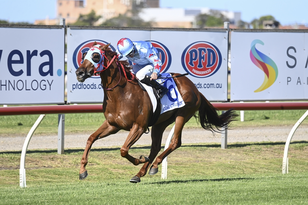 The Hunter 2024 Horse Race | Tips, Odds & Field | Racenet