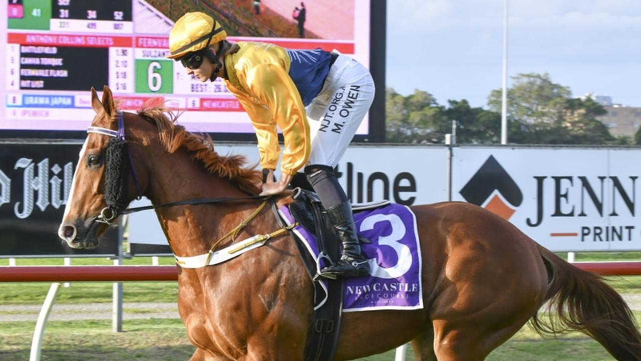 Taree preview: Tony Ball has faith Strobing can stand up in Gold Cup bid