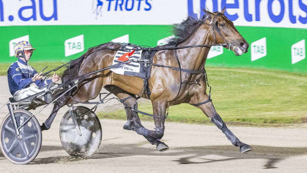 Harness racing: Trainer targets another Breeders Crown win as an owner