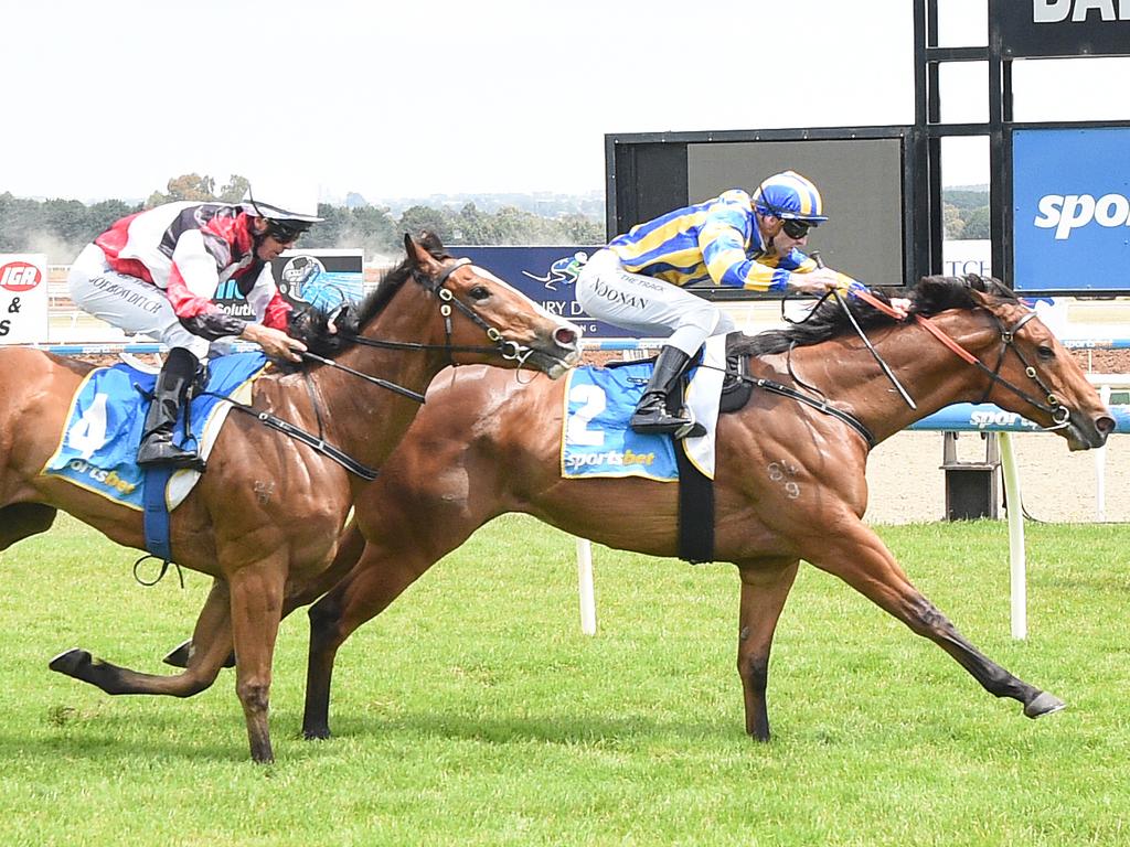 James Molony's race-by-race preview, selections for Moe on Friday - Racenet