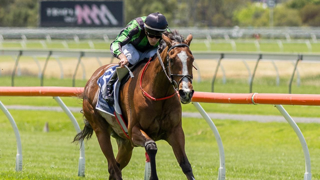 Ballarat Cup: Jake Stephens seeks black type win with En Francais