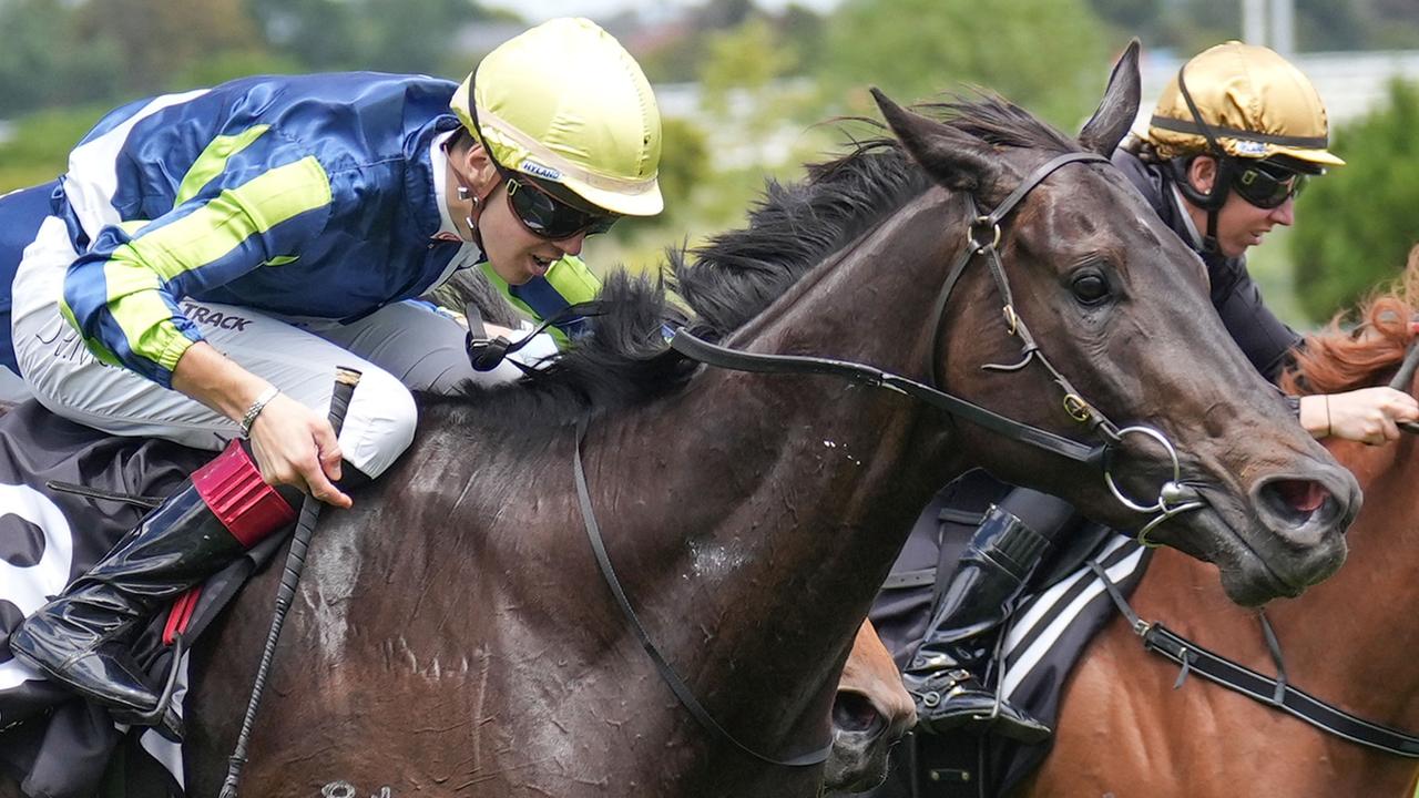 Cameron Happ's blackbookers with horses to follow and forgive from ...