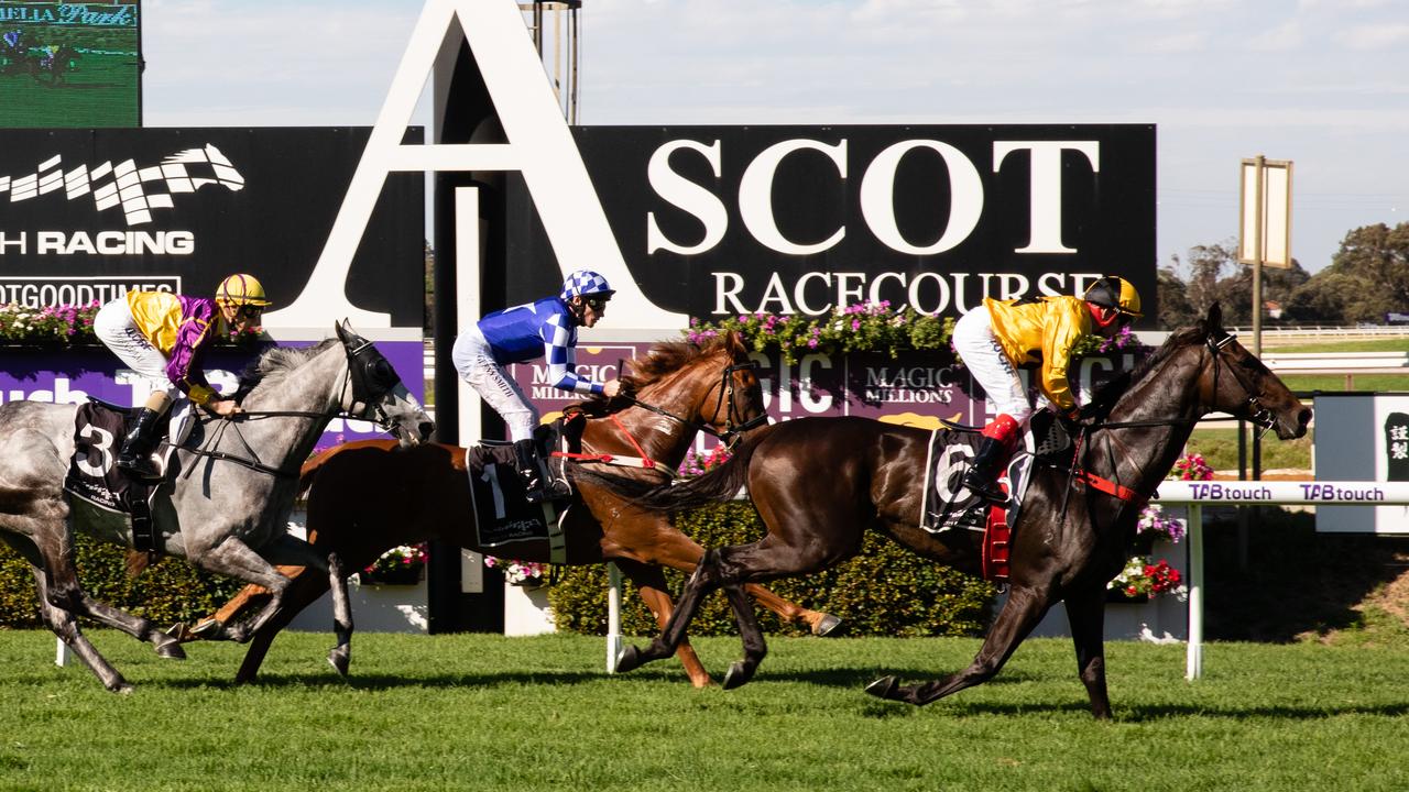 Aaron Mills' tips for Perth Cup Day at Ascot