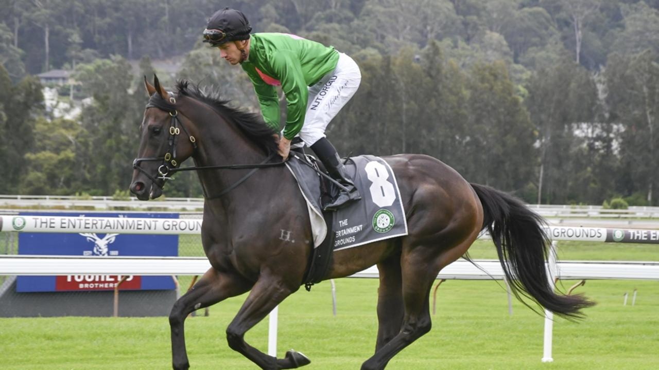Gilgandra preview: Trainer Dar Lunn feels Daredevil can bounce back