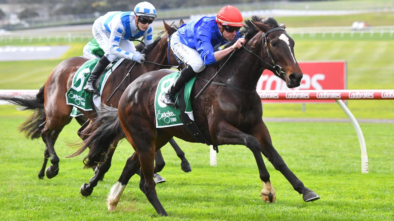 Sandown tips for Wednesday: Devil's in the detail for punters - Racenet