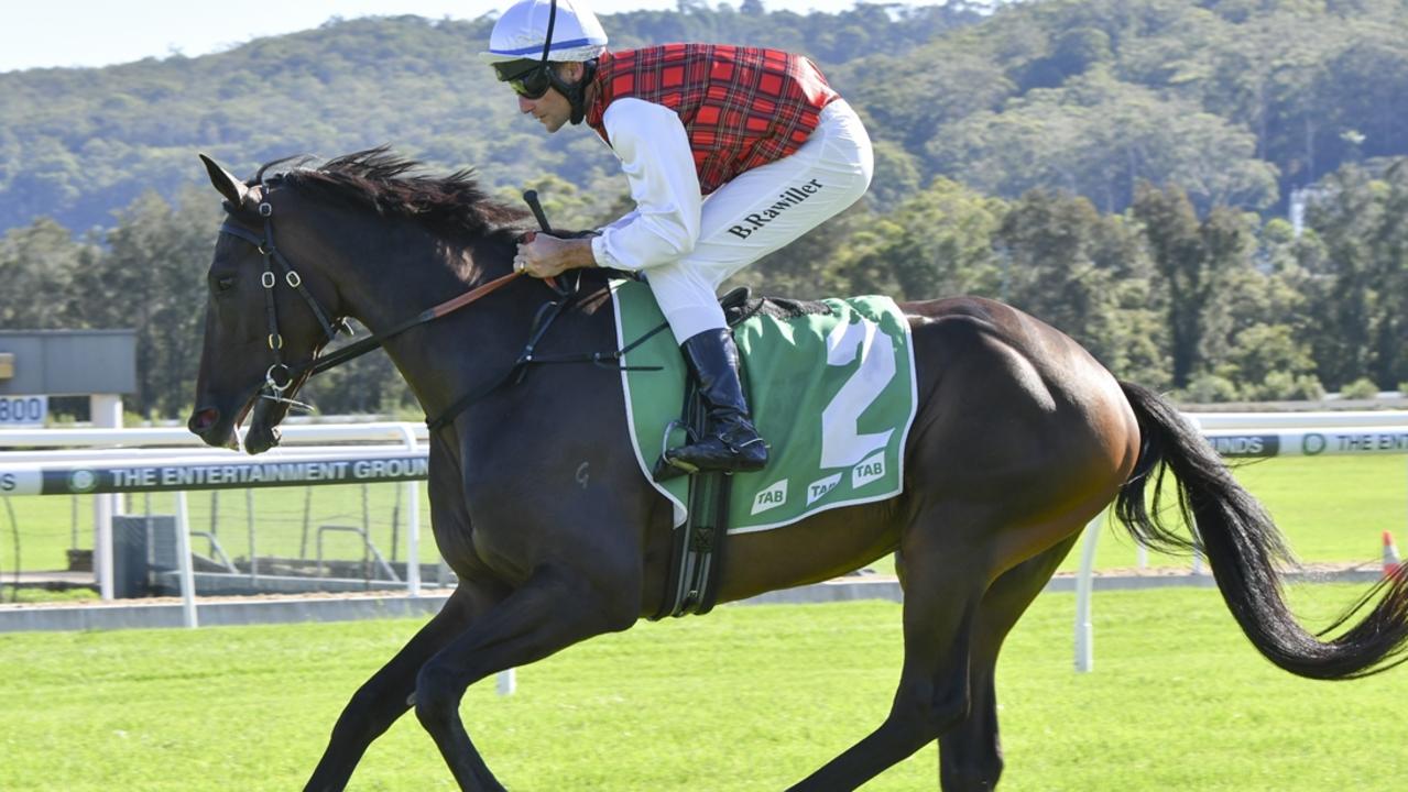 Gosford preview: Four O'Clock Knock to prove a mile too good