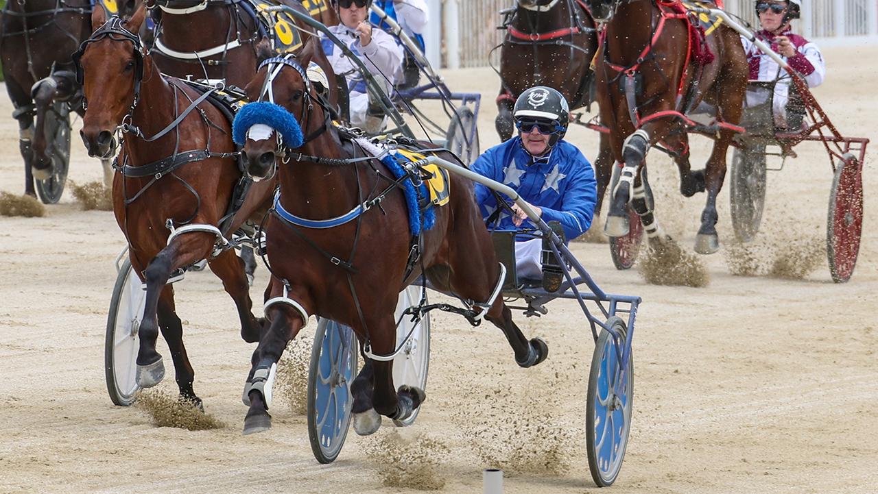 NZ trainer Mark Purdon targets Hunter Cup with Don't Stop Dreaming