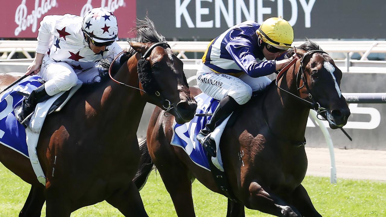Tony and Calvin McEvoy colt ‘perfect' for Blue Diamond preview