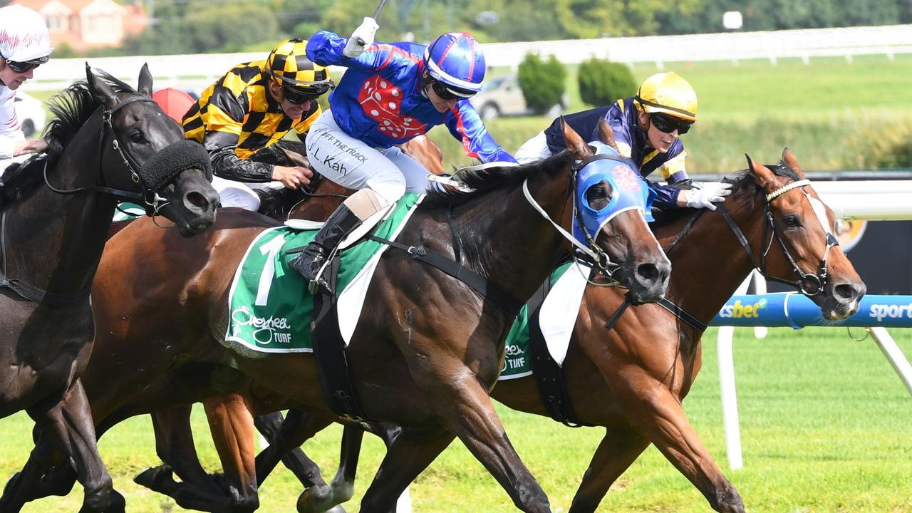 Mick Price eyes CF Orr Stakes upset with track/distance specialist Ayrton