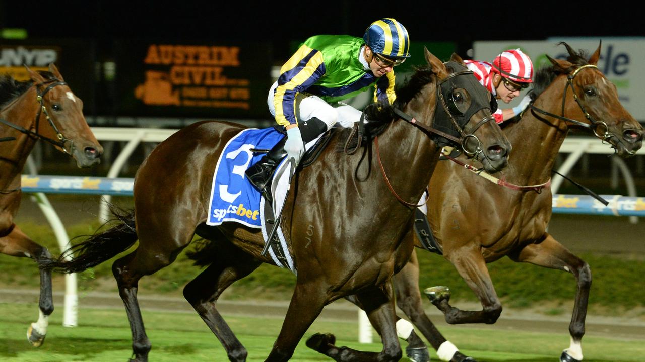 Canterbury preview: Basarwa and Surreal I Am are ready to shine