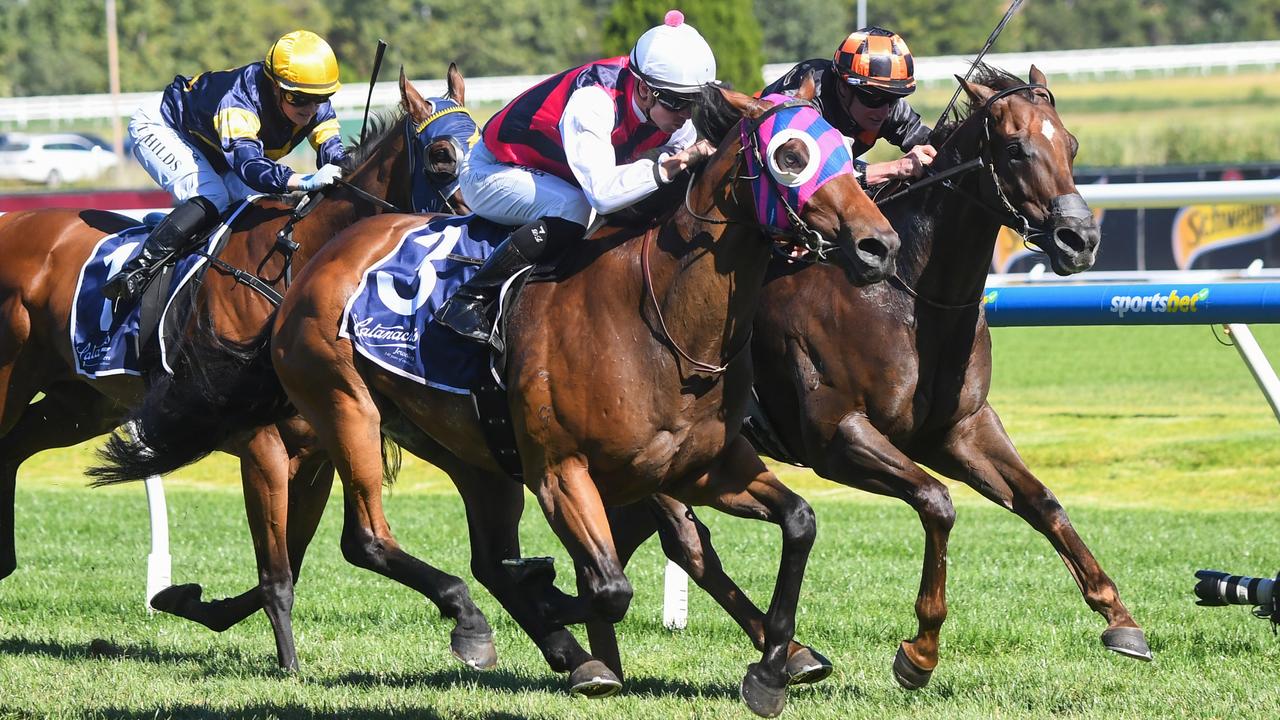 Scenario matters: Top two in Rubiton ideal for Rey Magnerio