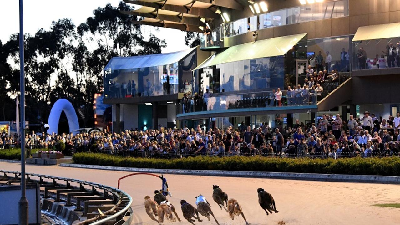 Traditional two-turn Victorian greyhound racing in the balance