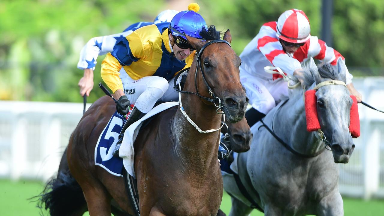 2024 Country Championships Qualifier at Lismore: Trainer Matt Dunn has ...