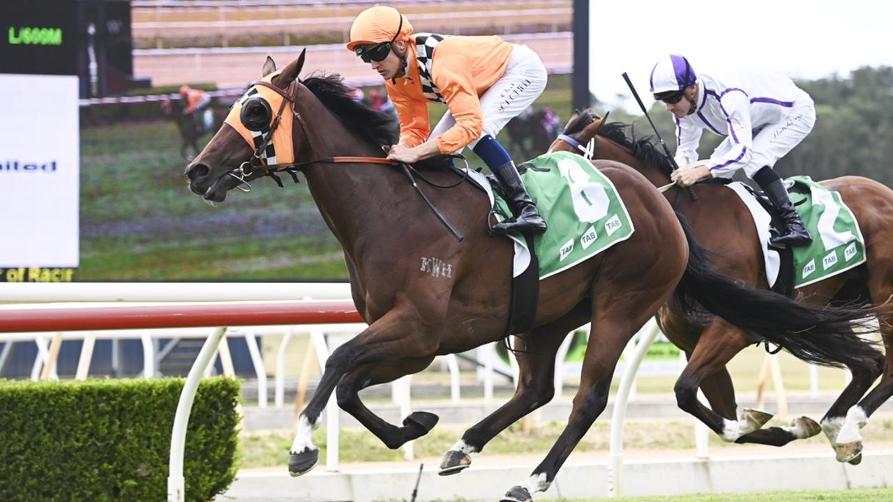 Wyong horse racing preview: Brad Widdup's classic catches