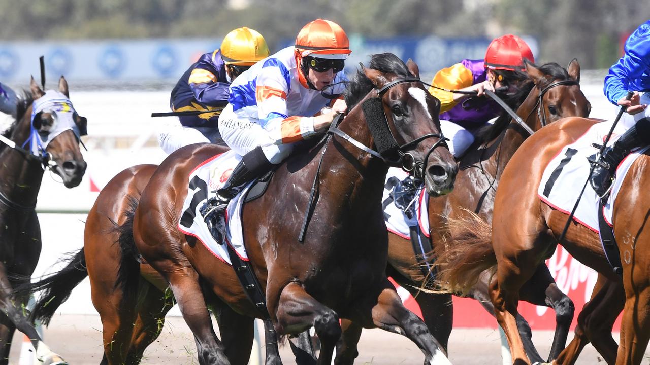 Veight primed for Australian Guineas showdown with Riff Rocket and King ...