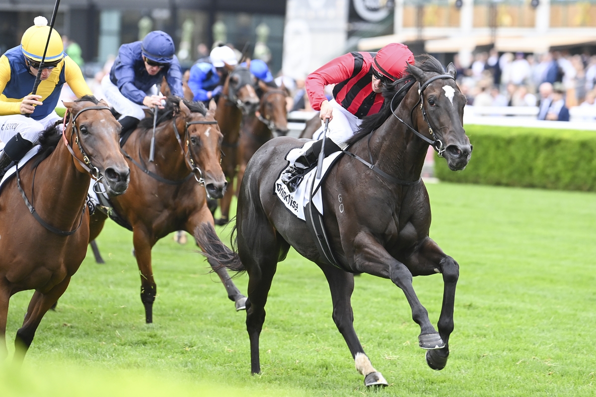 Surround Stakes 2025 | Tips, Odds, Field & Results | Racenet