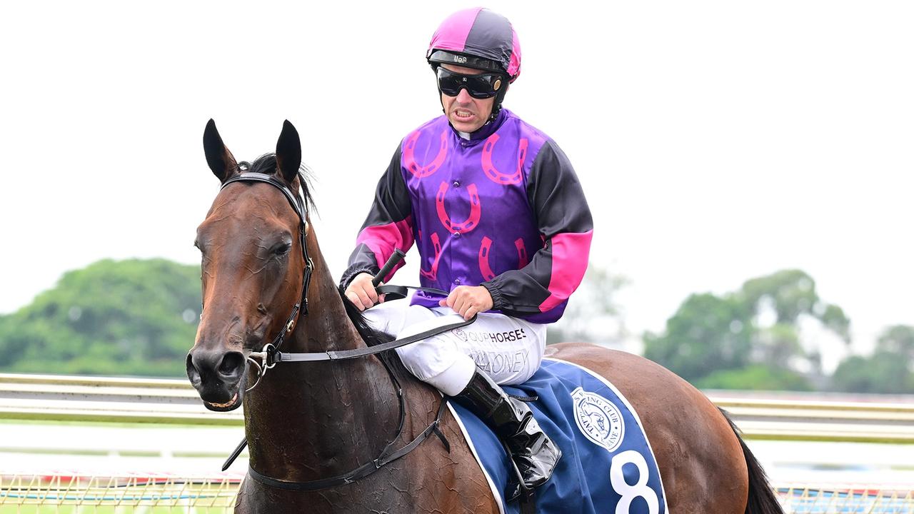 Alligator Blood band back together to rock the Todman