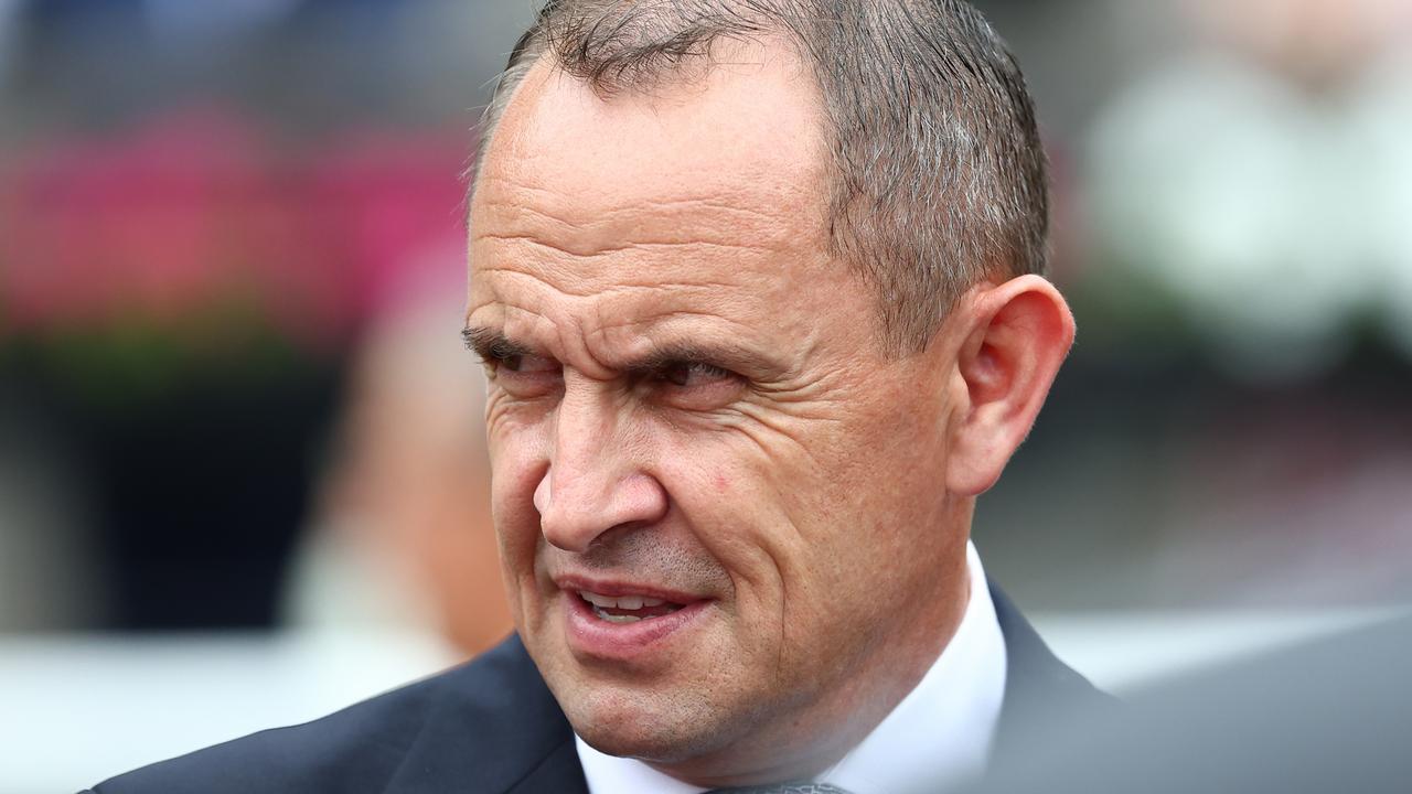 Chris Waller to follow Addeybb path with new import Via Sistina