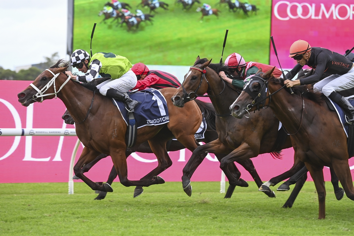 Coolmore Classic 2025 | Tips, Odds, Field & Results | Racenet