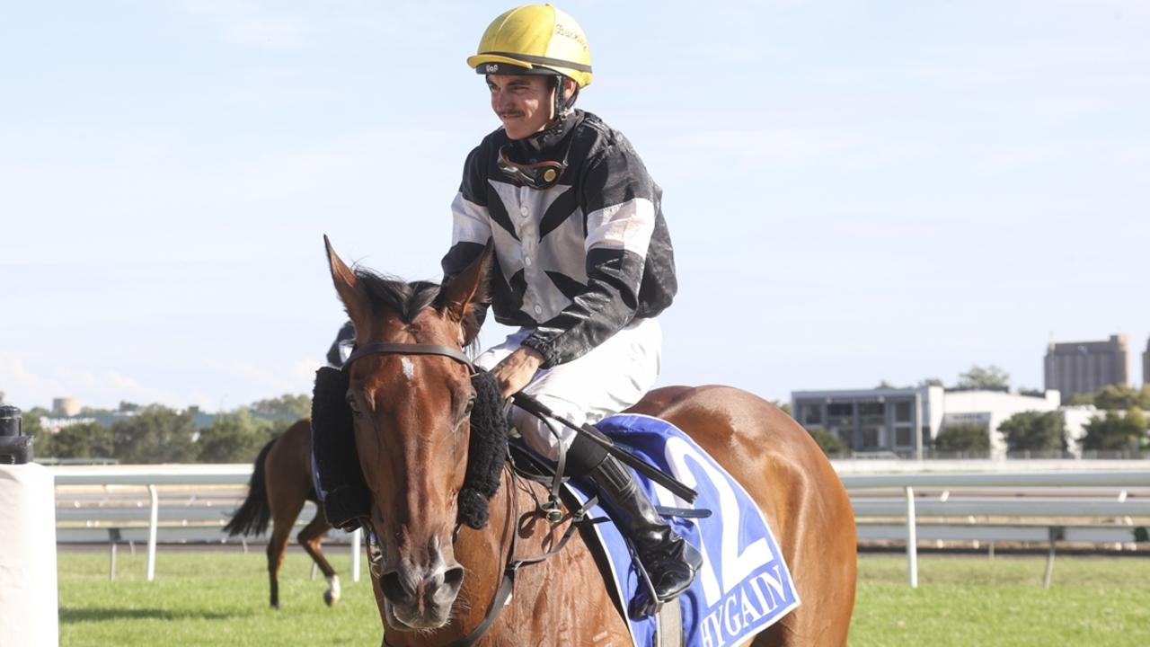 Armidale horse racing preview: Deebo to pick up some spending money