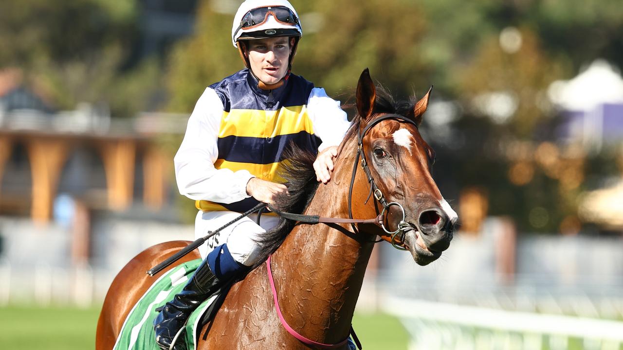 2024 George Ryder Stakes tips, form, runner-by runner analysis