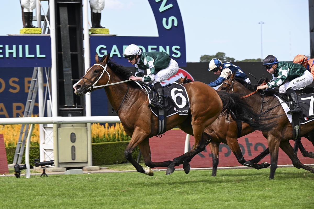 Ranvet Stakes 2025 | Tips, Odds, Field & Results | Racenet