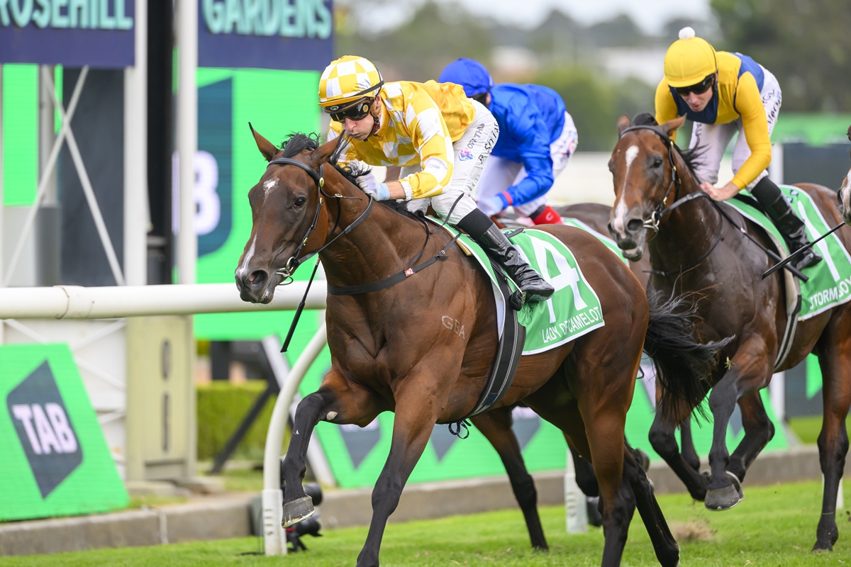 Golden Slipper 2025 Horses, Field, Tips & Results