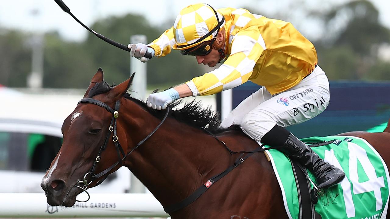 Racing's unsung heroes: The man who educated Lady Of Camelot