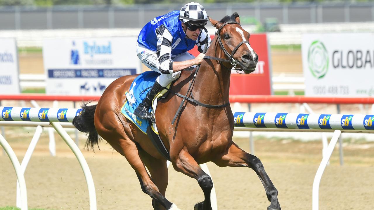 Best bets and expert tips for Geelong races Tuesday