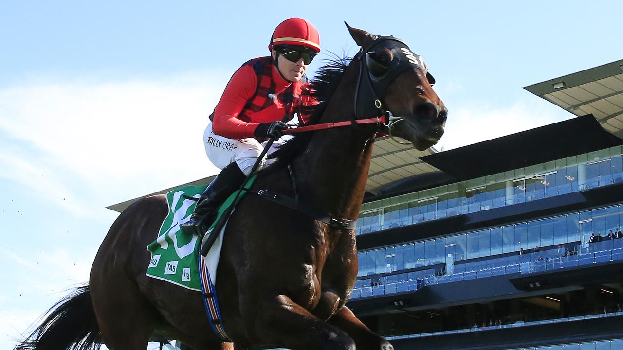 Moree preview: First wins in sight for Gavin Groth pair after a ...