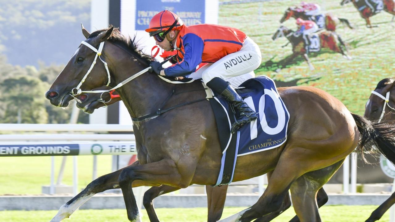 Newcastle preview: Sam Kavanagh's Kayobi fires up for Provincial-Midway ...