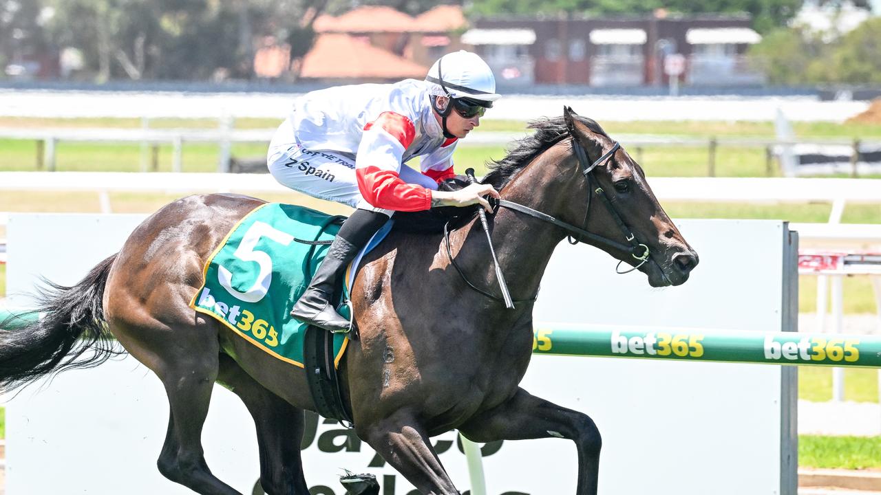 Shane Nichols tackles Dequetteville Stakes with improved filly Climate ...
