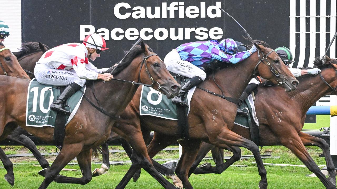 Monday Racebook: Boy to become a man in the autumn?