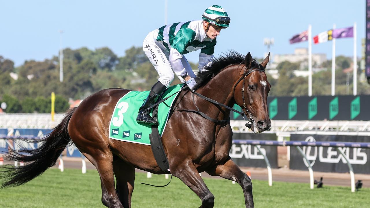 Cameron Happ's Caulfield review: ‘He's right on track'