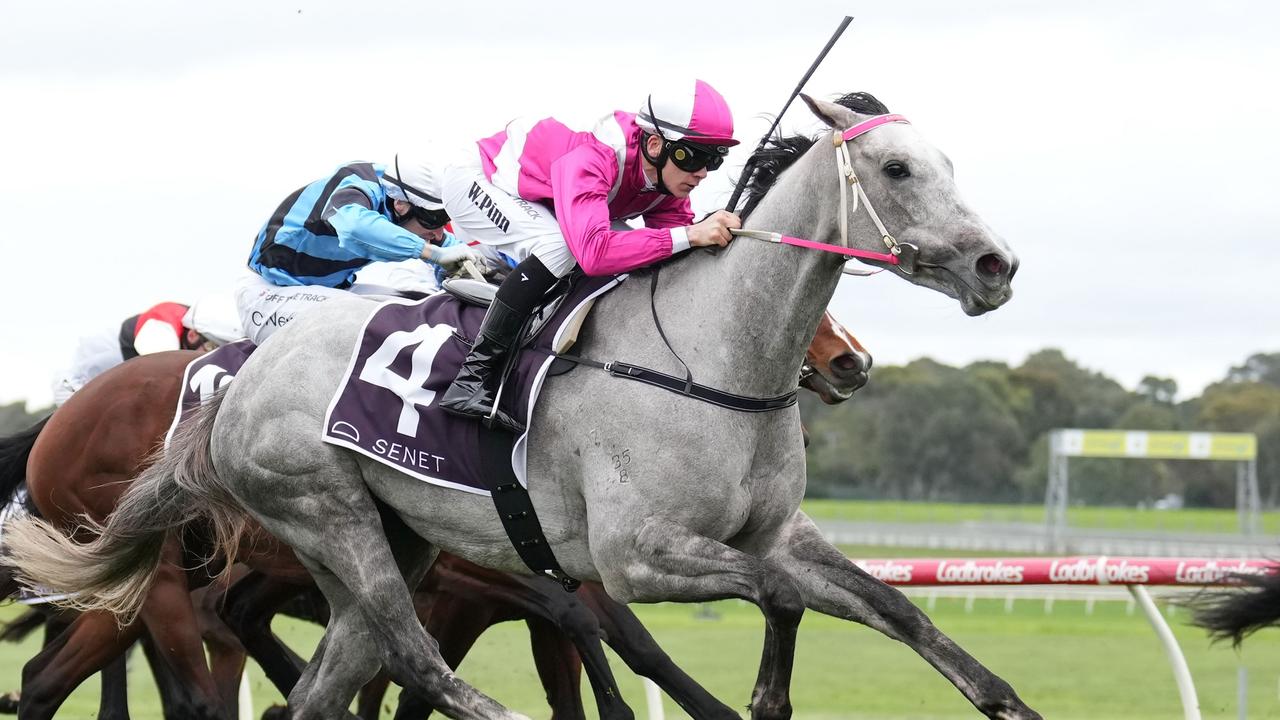 Best bets and expert tips for Mornington Cup Day Saturday