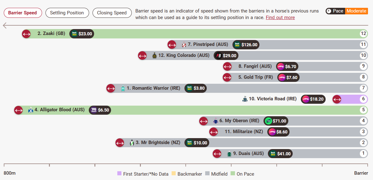 Racenet iQ Features - Racenet
