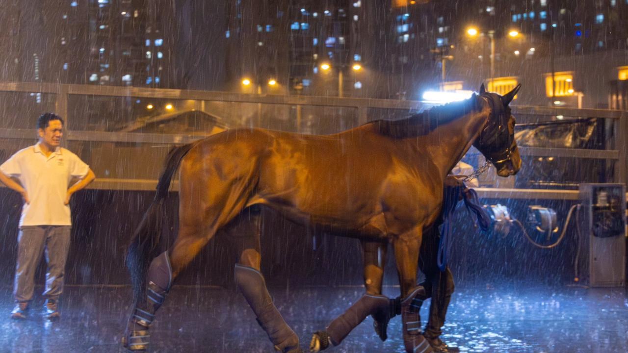 Japan's Obamburumai now bids to stun Hong Kong