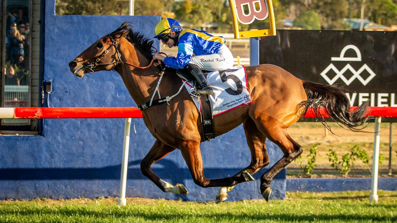 ‘A revelation for our stable': Baker's star continues to shine - Racenet