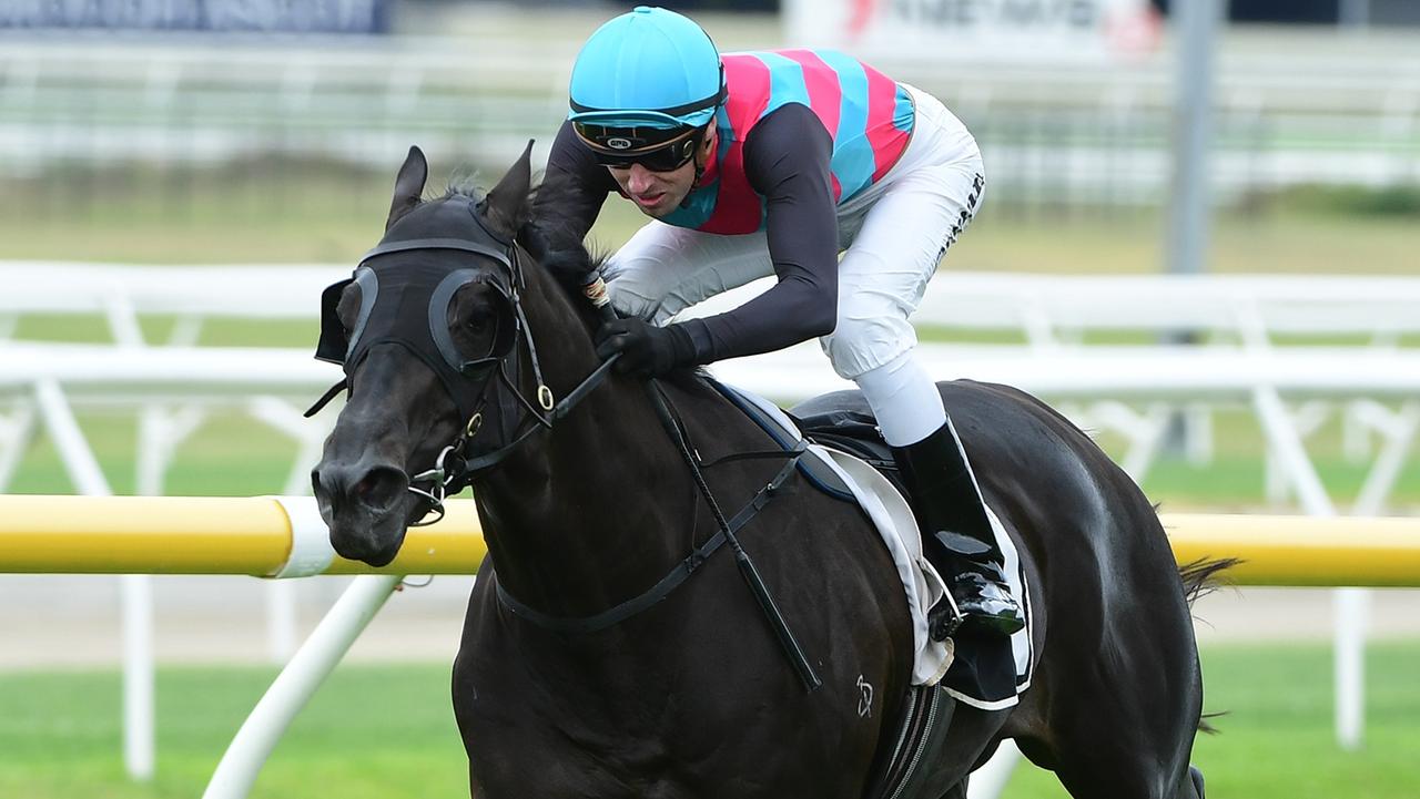 Antino's new jockey and Skirt The Law update