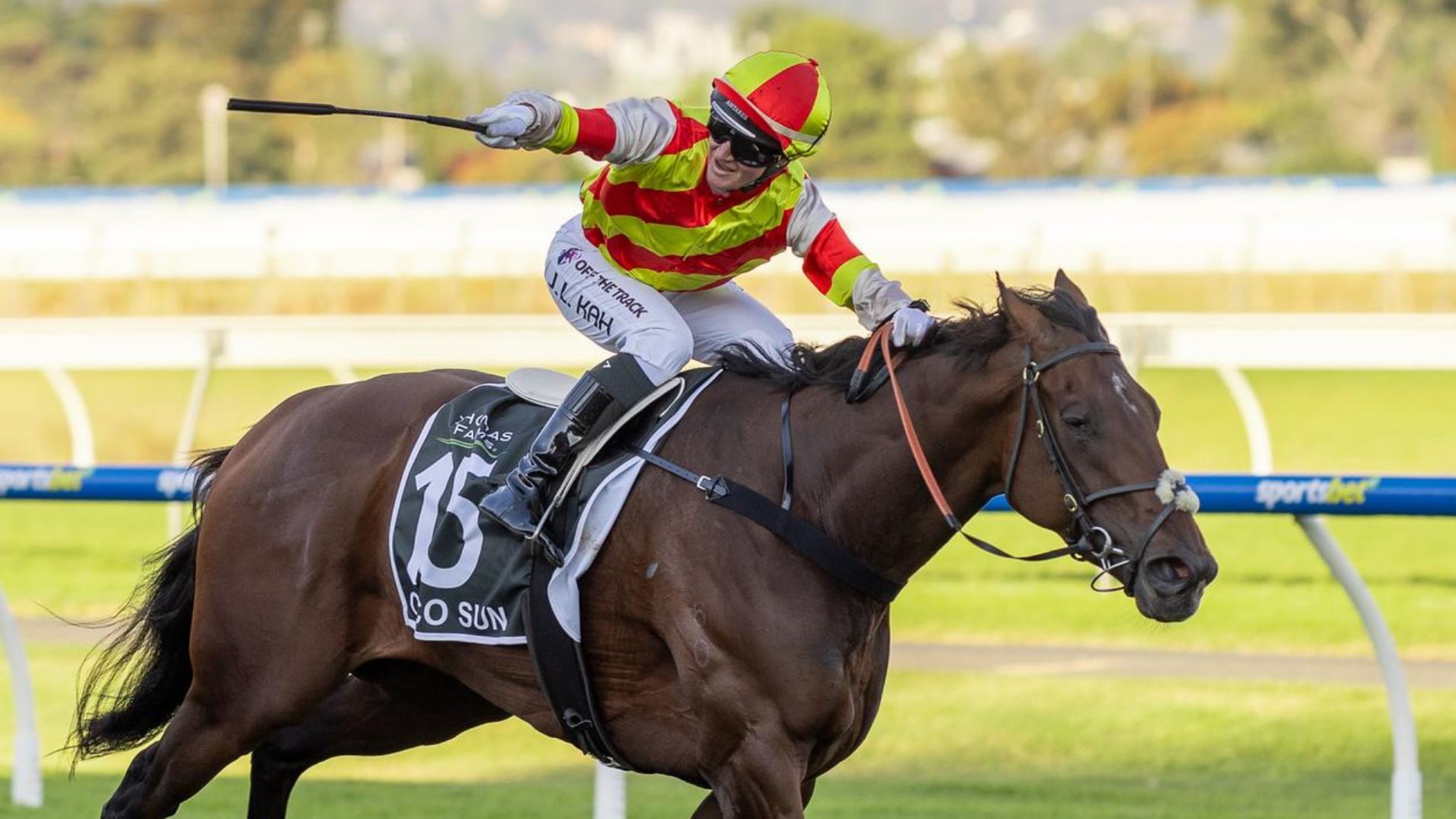 South Australian Derby 2025 | Tips, Odds, Field & Results | Racenet