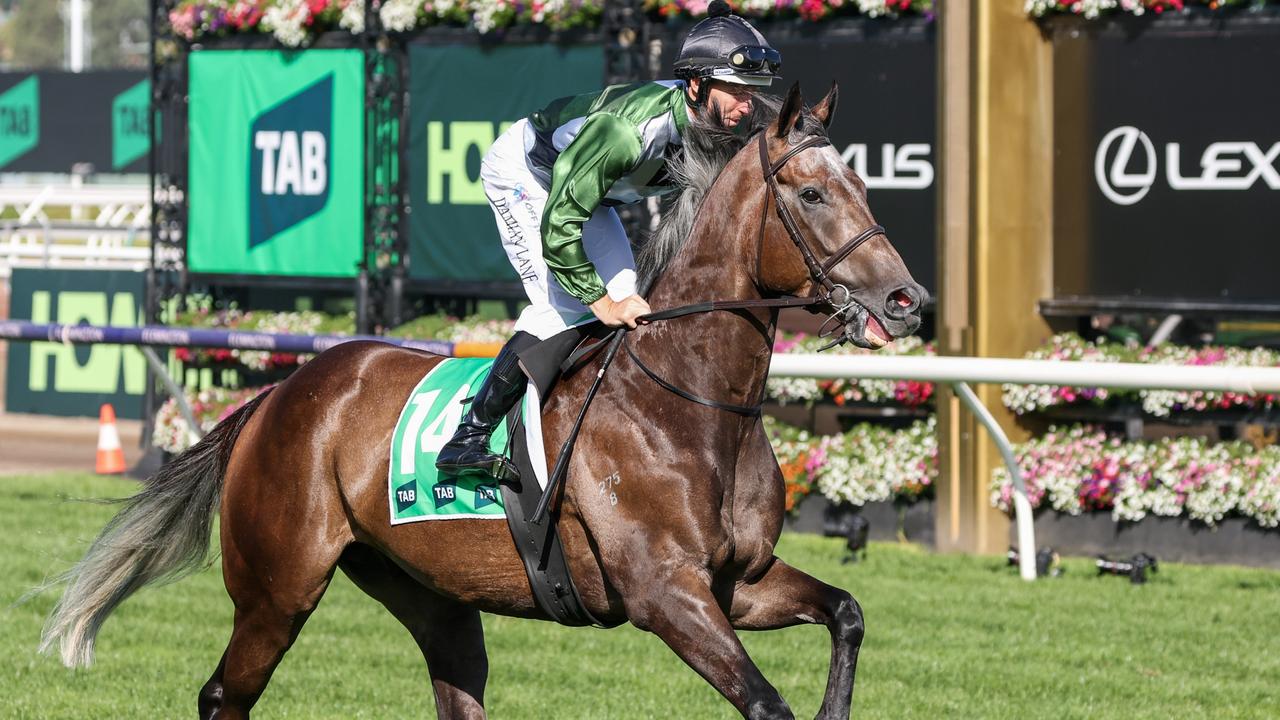Cameron Happ's Caulfield review: Time to sack high-priced import