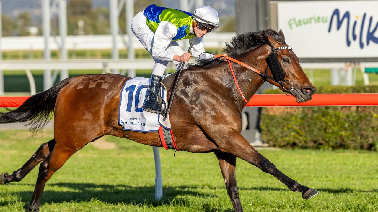 Morphettville horse racing tips for The Goodwood: May 11, 2024