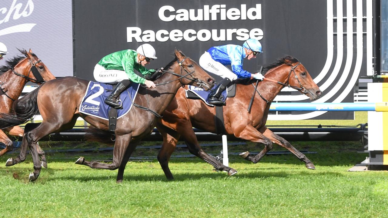 Cameron Happ's Caulfield review: ‘She'll be winning'